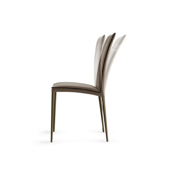 Modern Italian Designer Dining Chairs | italydesign.com